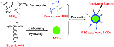 One-step hydrothermal synthesis and optical properties of PEG ...