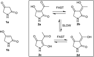 Naturally occurring tetramic acid products: isolation, structure ...