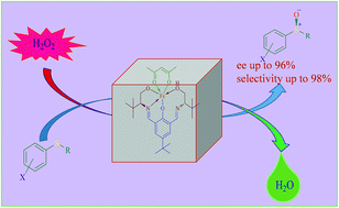 In situ-generated chiral iron complex as efficient catalyst for ...
