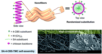 Self-assembly of mucoadhesive nanofibers - RSC Advances (RSC Publishing)