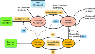 Control of cholesterol homeostasis by entero-hepatic bile transport ...