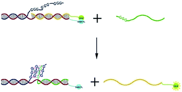 Regulation of DNA strand displacement using a G-quadruplex-mediated ...
