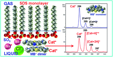 Monomer/dimer dependent modulation of reduction of the cationic dye ...