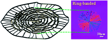 Composite banded core and non-banded shell transition patterns in ...
