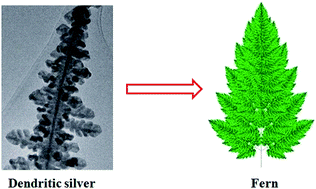 Template free synthesis of dendritic silver nanostructures and their ...