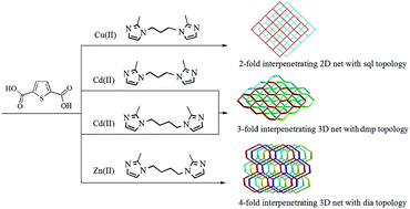 Four d10 metal coordination polymers based on bis(2-methyl imidazole ...