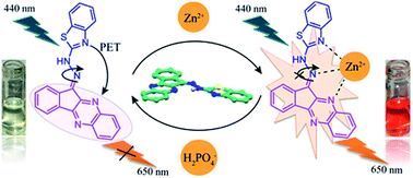 NIR sensing of Zn(ii) and subsequent dihydrogen phosphate detection by a benzothiazole ...