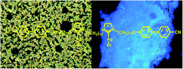 Liquid crystals based on silver carbene complexes derived from dimeric ...