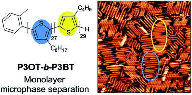 Direct visualization of microphase separation in block copoly(3 ...