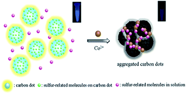 Synthesis of photoluminescent carbon dots for the detection of cobalt ...