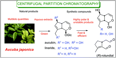 Centrifugal partition chromatography: an efficient tool to access ...