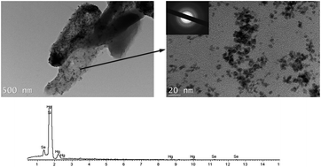 Biologically based method for the synthesis of Hg–Se nanostructures by ...