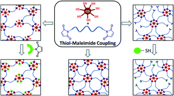 Cyclodextrin mediated polymer coupling via thiol–maleimide conjugation ...