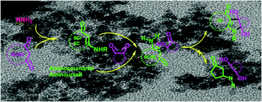 Synthesis of indeno and acenaphtho cores containing dihydroxy indolone ...