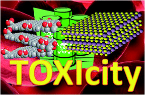 Toxicity of graphene related materials and transition metal ...