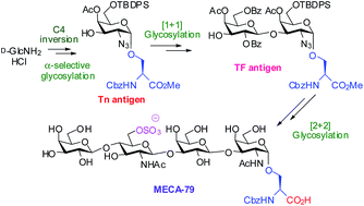 Total synthesis of MECA-79 - RSC Advances (RSC Publishing)