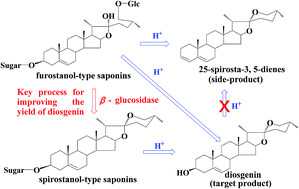 Conversion of furostanol saponins into spirostanol saponins improves ...
