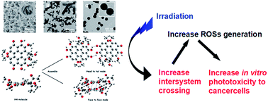 Modulating the photo-exciting process of photosensitizer to improve in ...