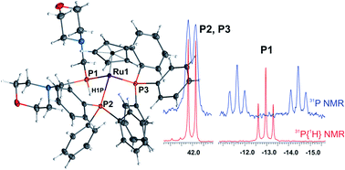 Unexpected formation of [Ru(η5-C5H5)(PH{CH2N(CH2CH2)2O}2)(PPh3)2]BF4 – the first “piano-stool ...