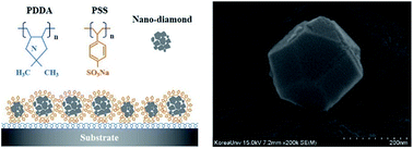 Improved electrode durability using a boron-doped diamond catalyst ...