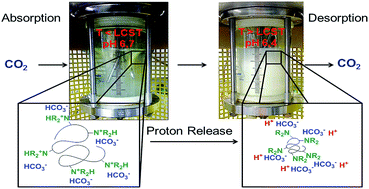 Temperature and CO2 responsive polyethylenimine for highly efficient ...