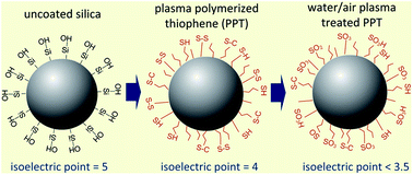 Development of negatively charged particulate surfaces through a dry ...