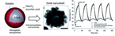 Design of gold nanoshells via a gelatin-mediated self-assembly of gold ...