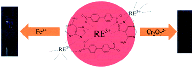 Photoactive rare earth complexes for fluorescence tuning and sensing ...