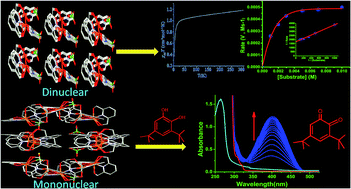 Structure, magnetism and catecholase activity of the first dicopper(ii ...