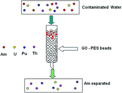 Amazing selectivity for Am(iii) uptake by composite graphene oxide-PES ...