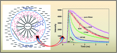 Photophysics of lumichrome in anionic and cationic micellar media - RSC ...