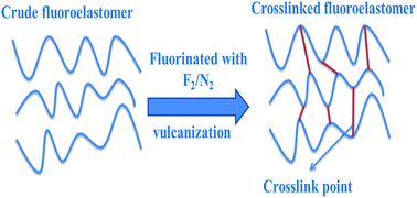 The reaction kinetics and mechanism of crude fluoroelastomer vulcanized ...