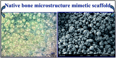 Phase-induced porous composite microspheres sintered scaffold with ...