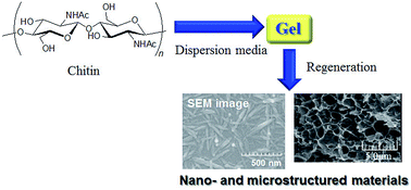 Fabrication of nanostructured and microstructured chitin materials ...
