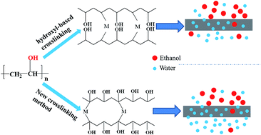 Cross-linking of poly(vinyl alcohol) with N,N′-methylene bisacrylamide ...