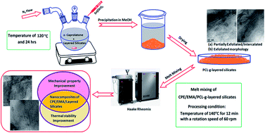 Panoptically exfoliated morphology of chlorinated polyethylene (CPE ...