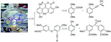 Total synthesis of Sparstolonin B, a potent anti-inflammatory agent ...