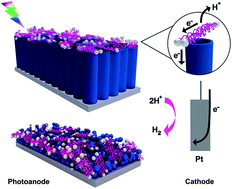 Visible light switchable bR/TiO2 nanostructured photoanodes for bio ...