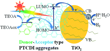 Visible-light-driven photocatalytic H2 evolution from aqueous ...
