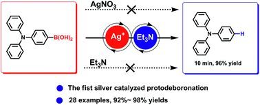 Base-promoted silver-catalyzed protodeboronation of arylboronic acids ...