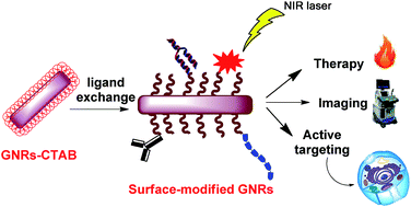 Surface modifications of gold nanorods for applications in nanomedicine ...