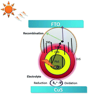 Exploring the effect of manganese in lead sulfide quantum dot ...