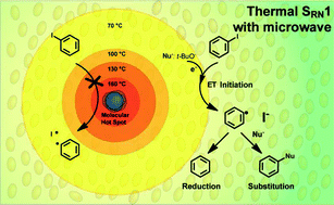 Microwave role in the thermally induced SRN1 reaction for α-arylation ...