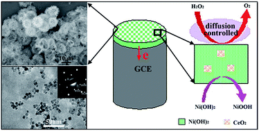 Facile synthesis of CeO2 decorated Ni(OH)2 hierarchical composites for ...