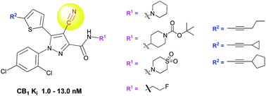 4-Cyano-5-(2-thiophenyl)-pyrazoles are high affinity CB1 receptor ...