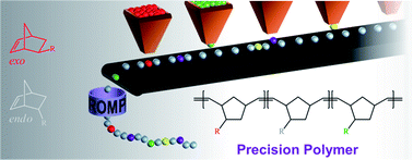 Precision polymers: a kinetic approach for functional poly(norbornenes ...