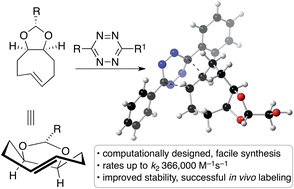 Conformationally strained trans-cyclooctene with improved stability and ...