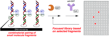 DNA display of fragment pairs as a tool for the discovery of novel ...