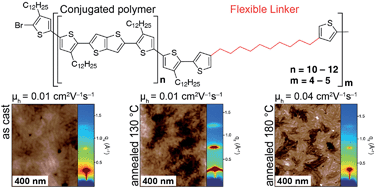 Controlling conjugated polymer morphology and charge carrier transport ...