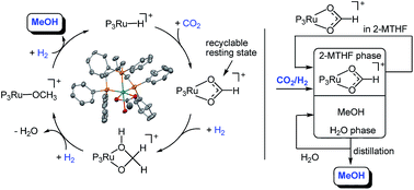 Hydrogenation of carbon dioxide to methanol using a homogeneous ...